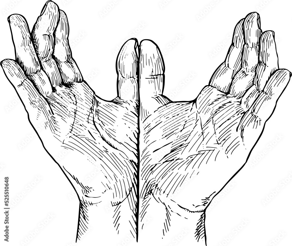 Two open hands joined by the thumbs, as a sign of receiving. Hand ...