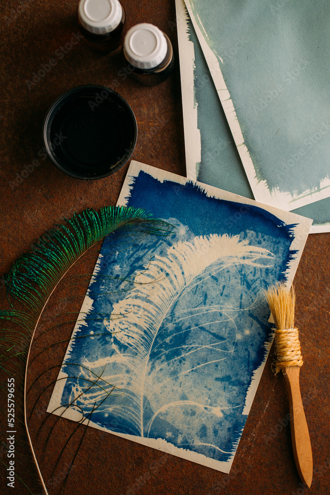 Peacock feather cyanotype Stock Photo | Adobe Stock