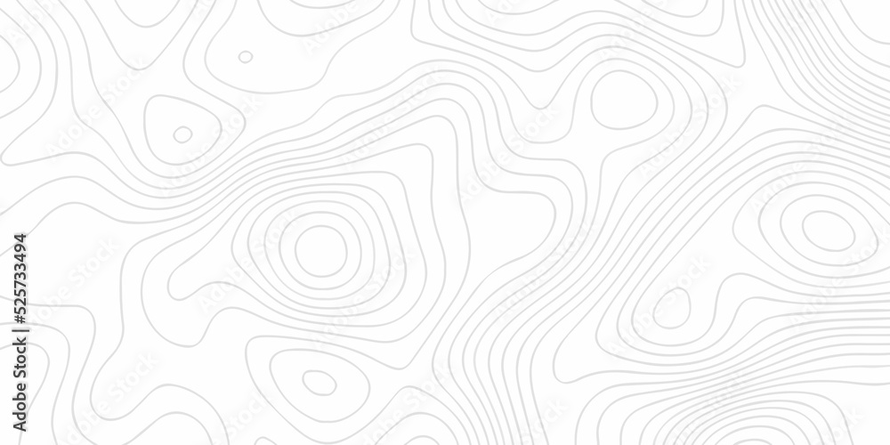 abstract Pattern with Topographic map and maunt map with river and sea ...