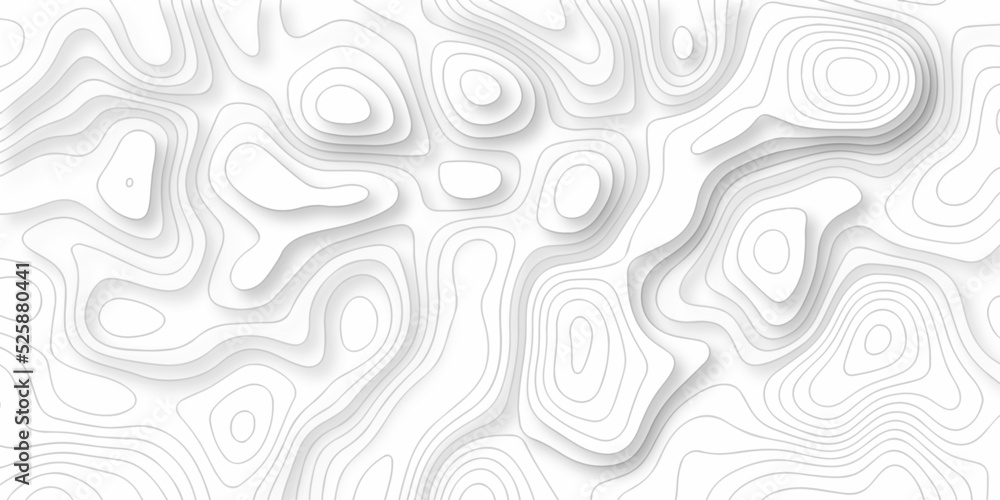 abstract vactor white lines pattern and Topographic and maunt,river,sea ...