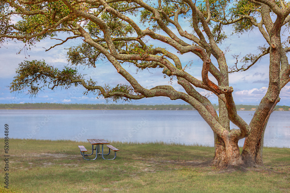 Foto de Stock Picnic Table by the Lake Lake View Trail Gulf State Park ...