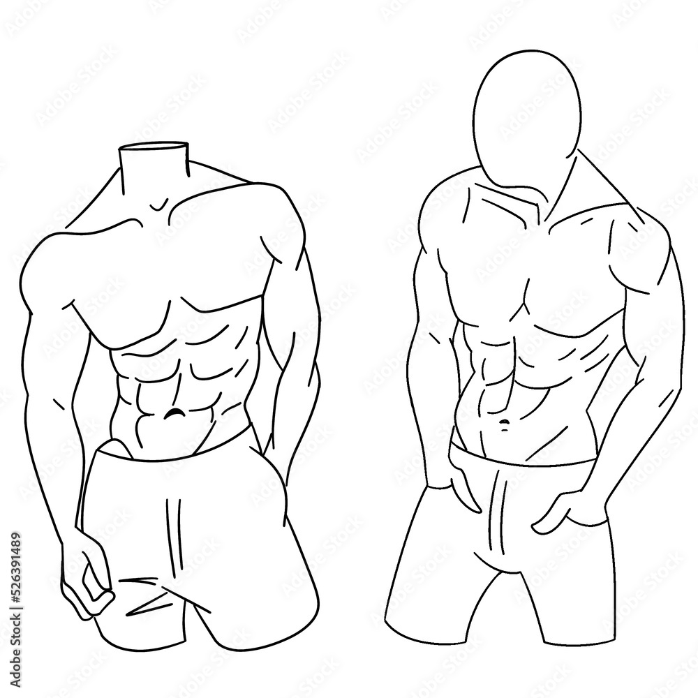 Athletic man torso linear illustrations set, male beauty with perfect ...