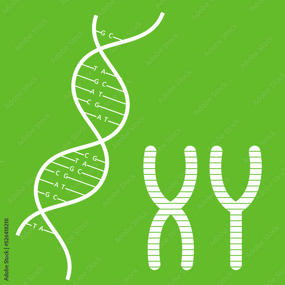 Biology icon. DNA and chromosomes vector clipart. Biology clipart. 素材庫 ...