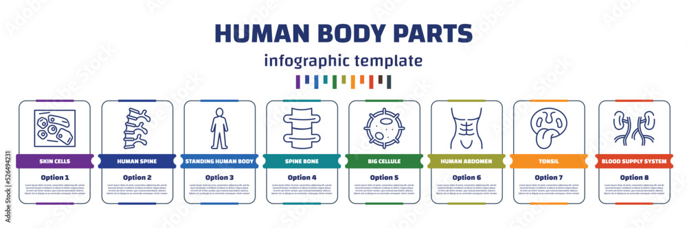 infographic template with icons and 8 options or steps. infographic for ...
