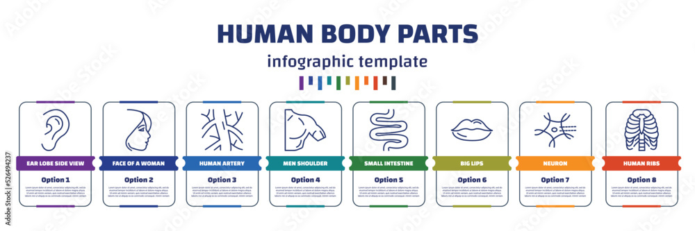 infographic template with icons and 8 options or steps. infographic for ...