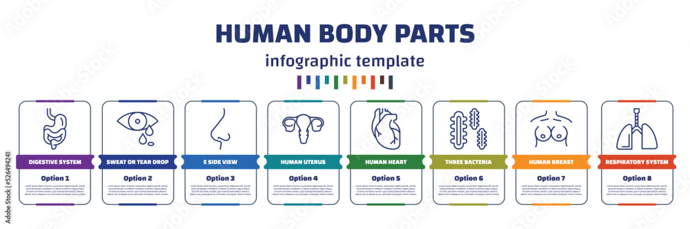 infographic template with icons and 8 options or steps. infographic for ...