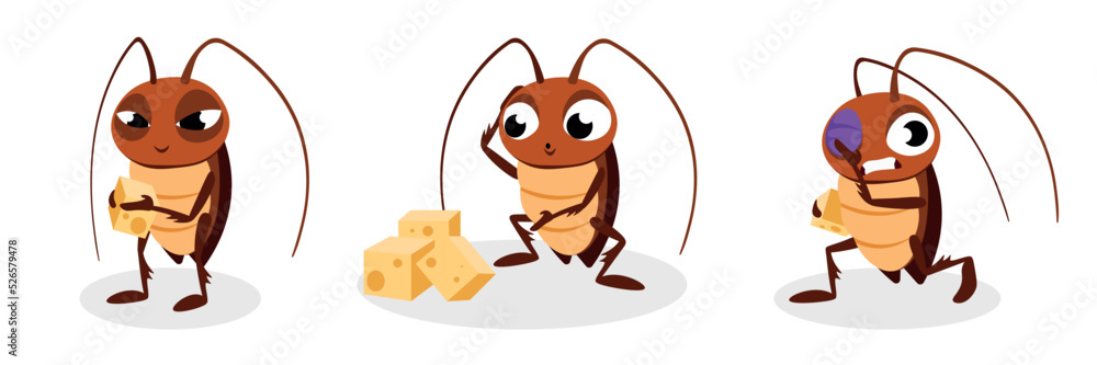 Vector illustration of a cute and beautiful cockroach on white ...