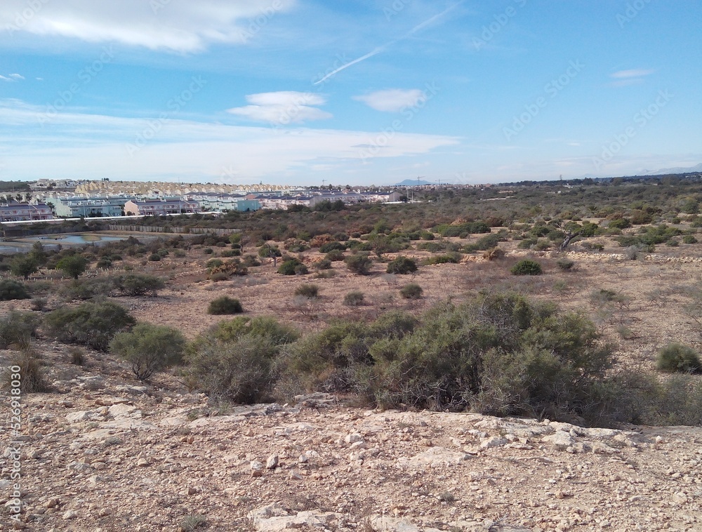 Stock-Foto „Reversing desertification by planting native shrubs on ...