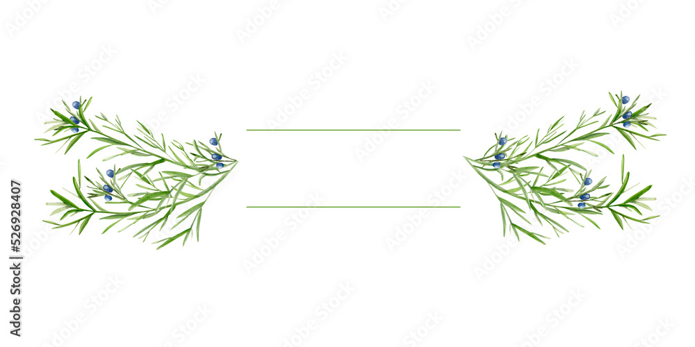 Juniper branches with berries frame border watercolor. Template for ...