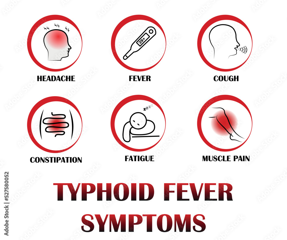 Typhoid fever symptoms, Pictograms with names of individual symptoms ...