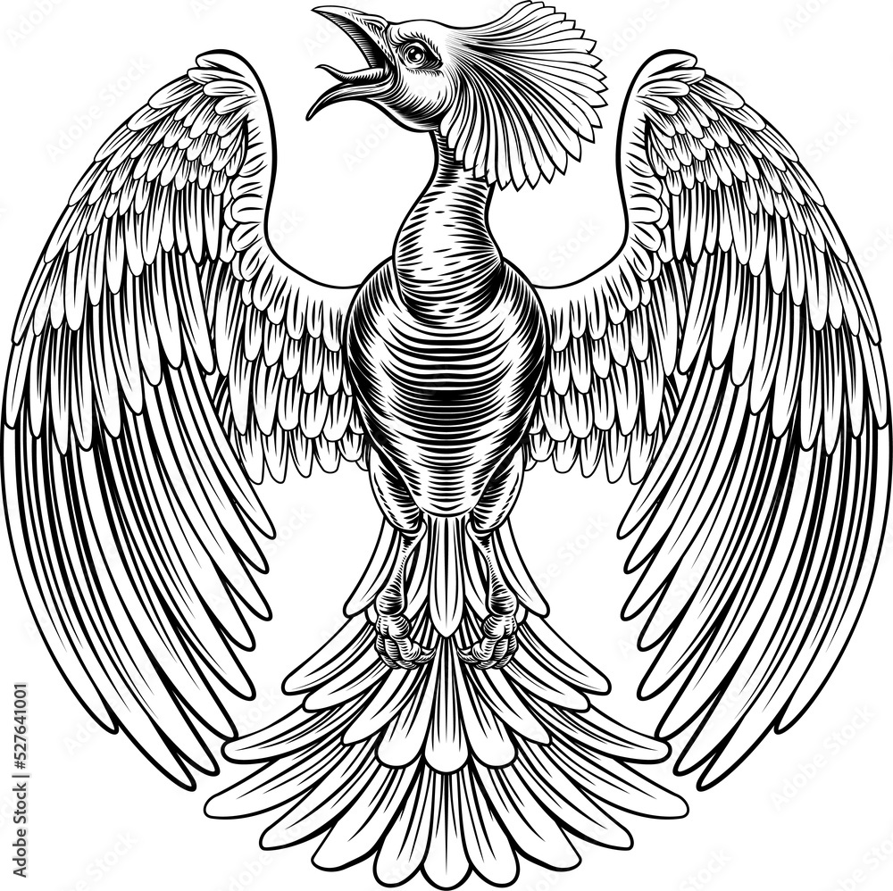 Peacock Phoenix bird design Stock Illustration | Adobe Stock