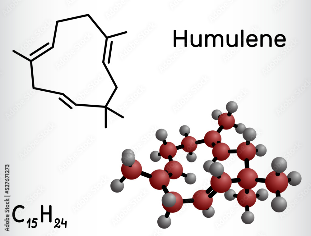 Humulene, alpha-humulene or α-caryophyllene molecule. It is component ...