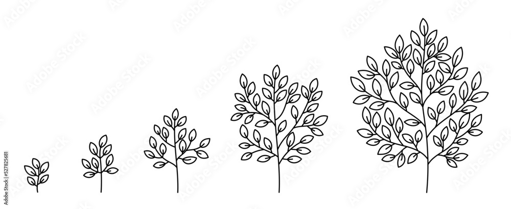 Tree growth stages. Plant development. Vector illustration. Editable ...