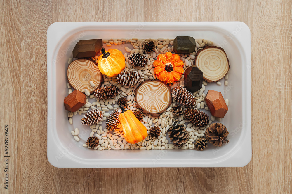 Fall Sensory Bin. Pumpkins, cones and dried beans in sensory box ...
