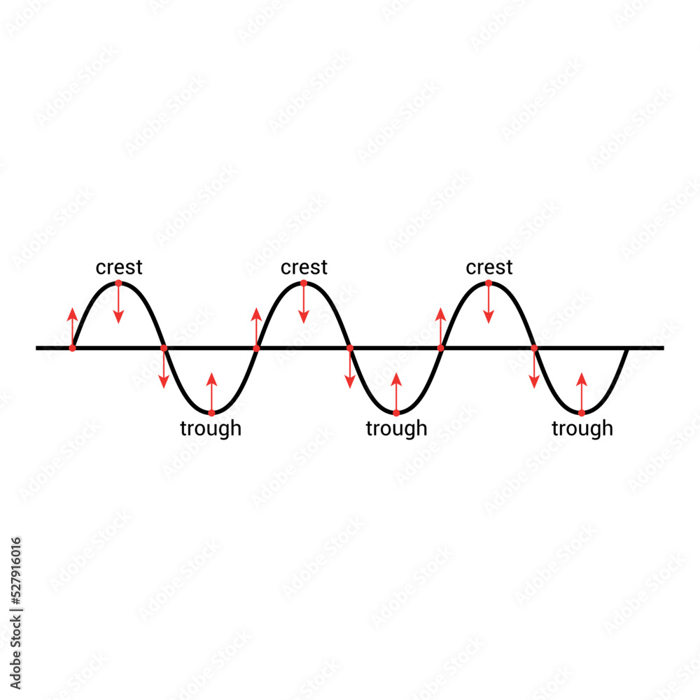 Transverse wave diagram. crest and trough Stock Vector | Adobe Stock