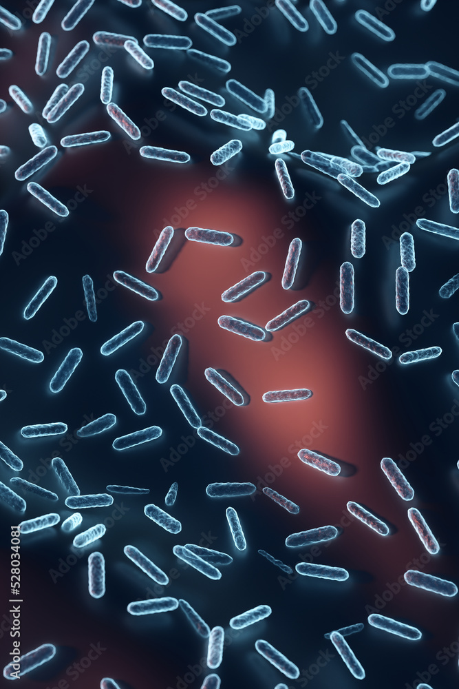 Enterobacteriaceae, gram-negative rod-shaped bacteria, part of ...