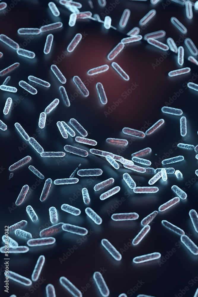 Enterobacteriaceae, gram-negative rod-shaped bacteria, part of ...