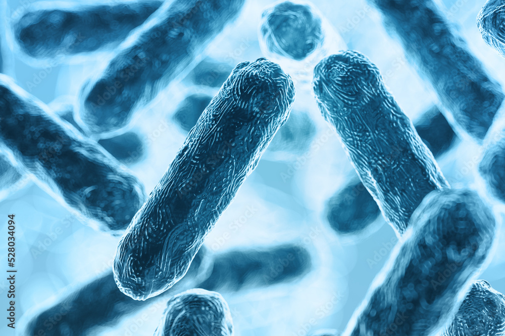 Enterobacteriaceae, gram-negative rod-shaped bacteria, part of ...
