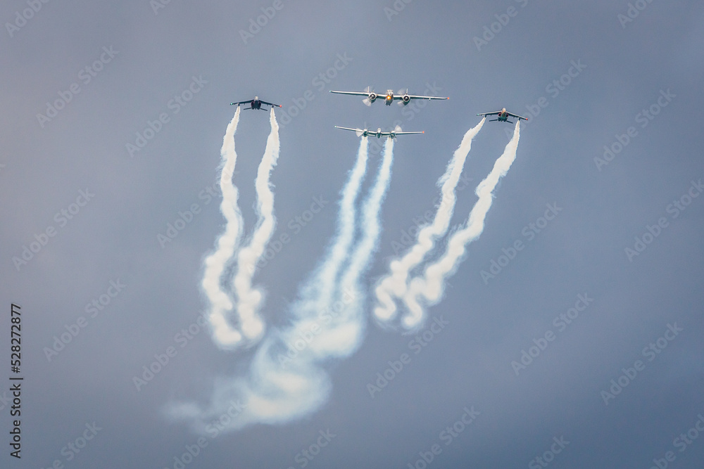 The historic fleet of the Flying Bulls from Austria performing a ...