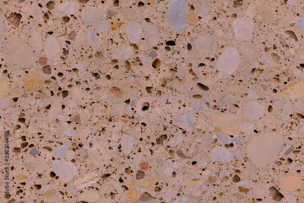 light wall, slab of sawn shell rock with fine seamless texture of ...