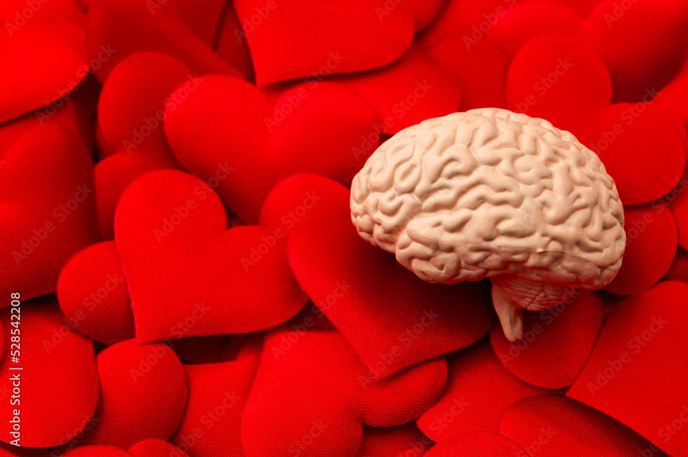 Brain representing analytical thinking on top of hearts conceptual image for intelligent mind ...