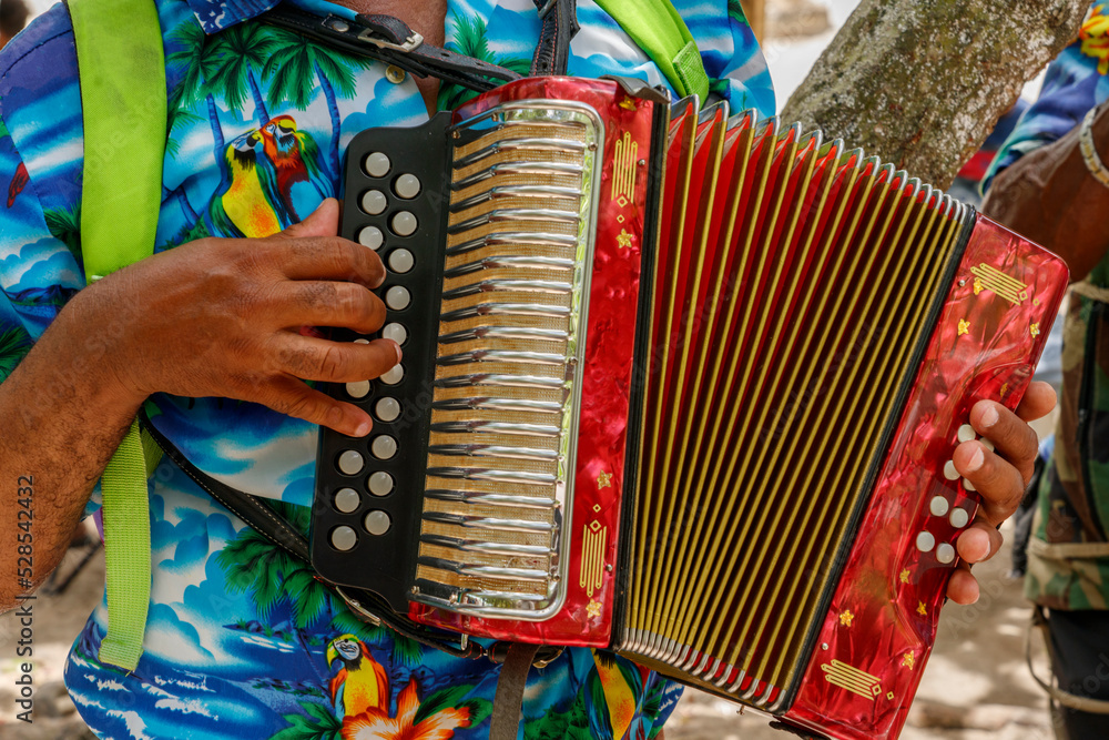 Dominican Republic. The beach musician plays the accordion. Hand plays ...