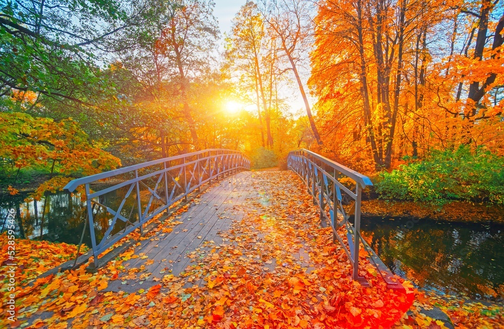 Autumn nature landscape. Lake bridge in fall forest. Path way in gold ...