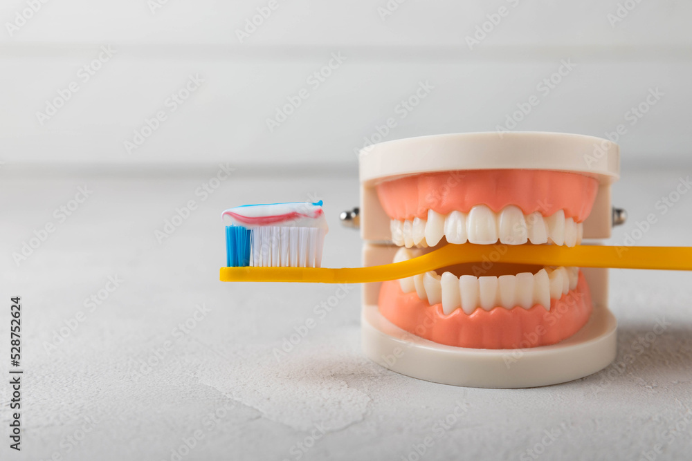 Dentures with a toothbrush on a white background. Upper and lower jaws ...