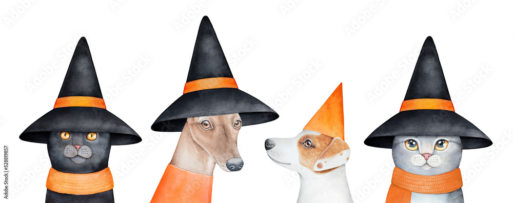 Watercolour illustration set of various Dogs and Cats characters ...