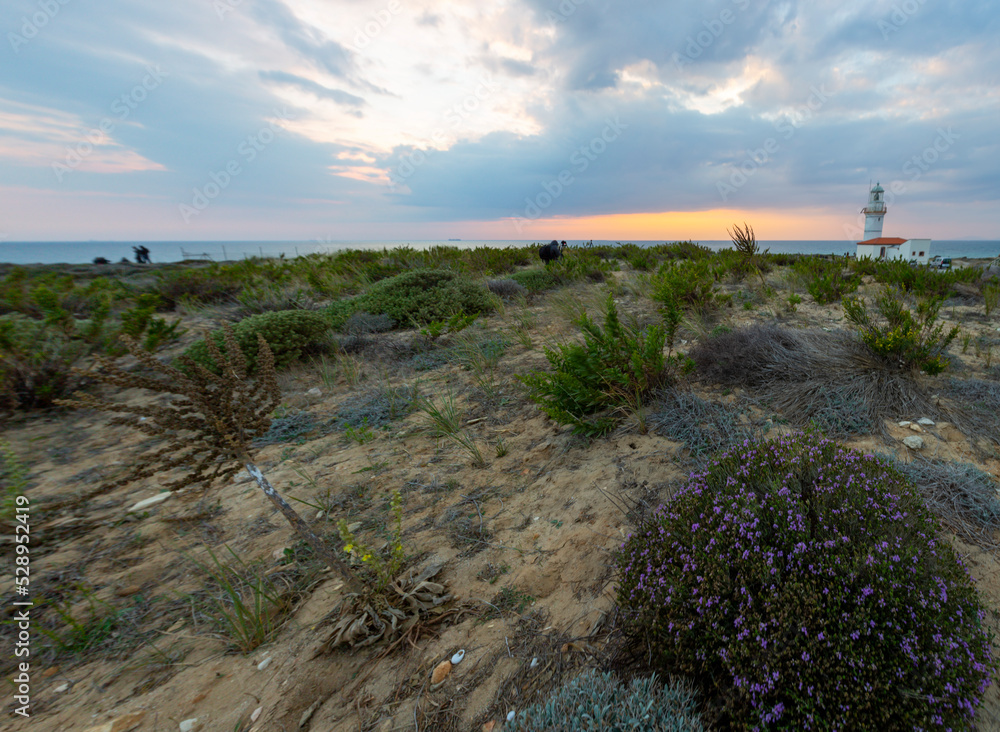 Polente Lighthouse is located at the westernmost edge of Bozcaada and ...