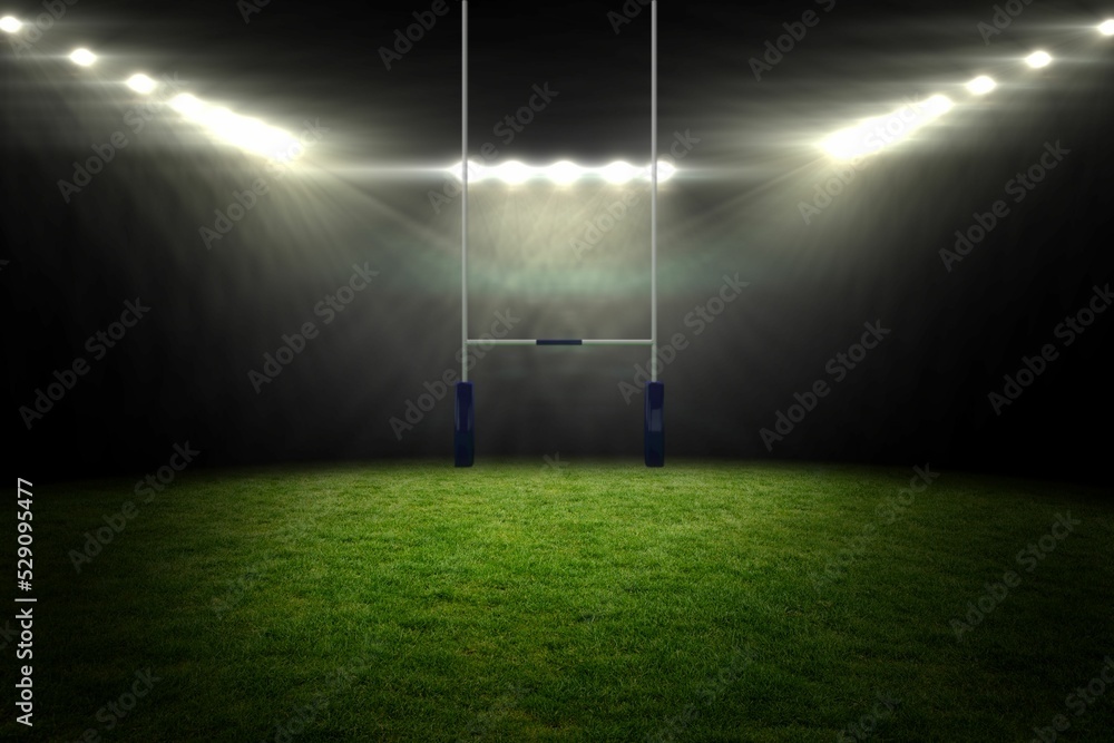Rugby pitch Stock Illustration | Adobe Stock