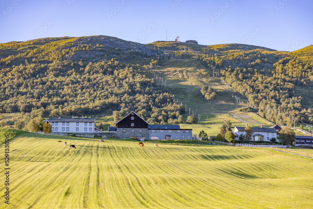 Farm under alpine resort in Oppdal. Oppdal is a municipality in ...