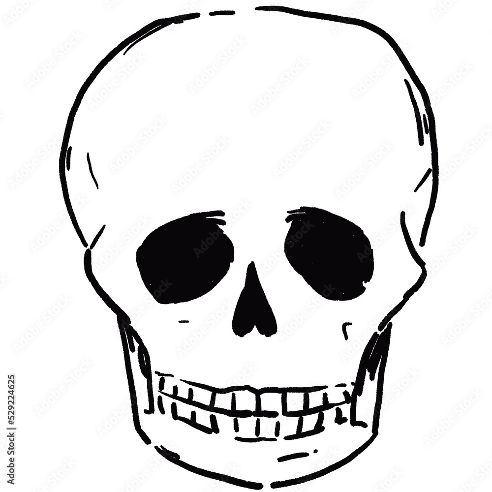 dibujo de cráneo de frente Stock Illustration | Adobe Stock
