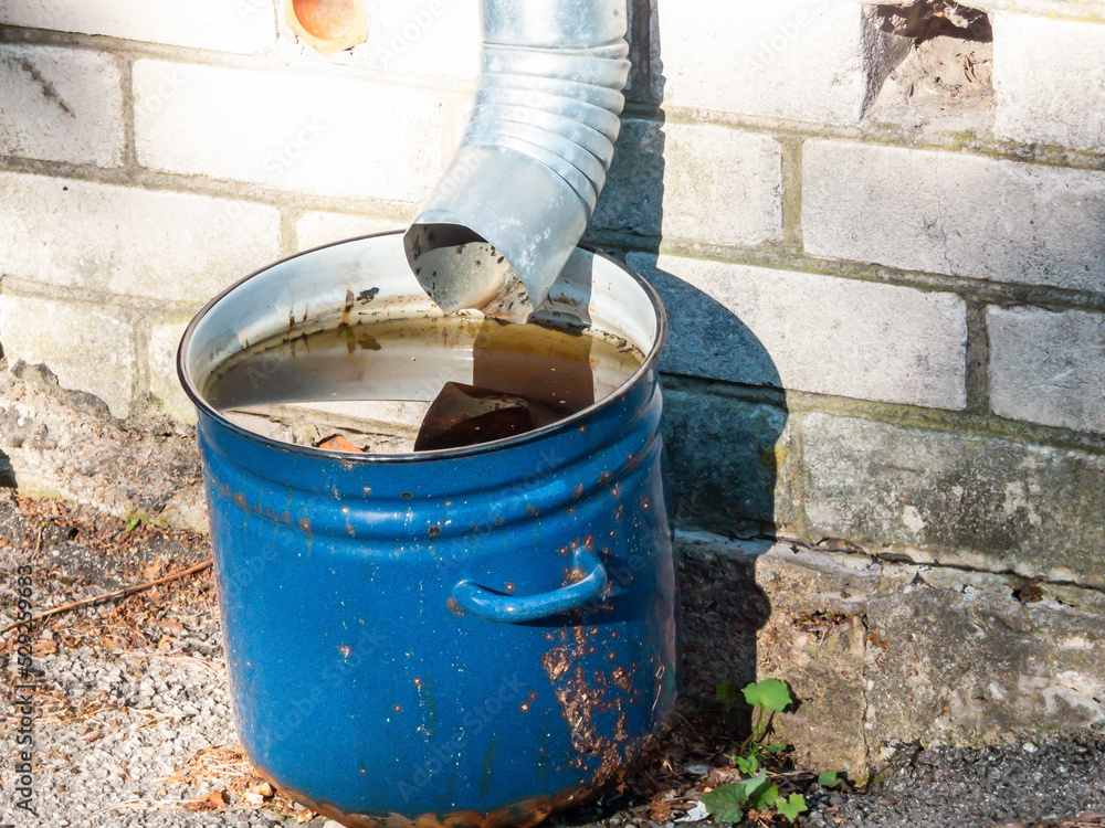 Blue metal pot reused outdoors for collecting and storing rainwater ...