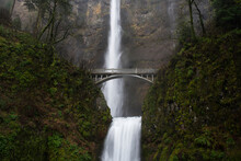 Rock Bridge And Fallen Tree In Fall Free Stock Photo - Public Domain ...