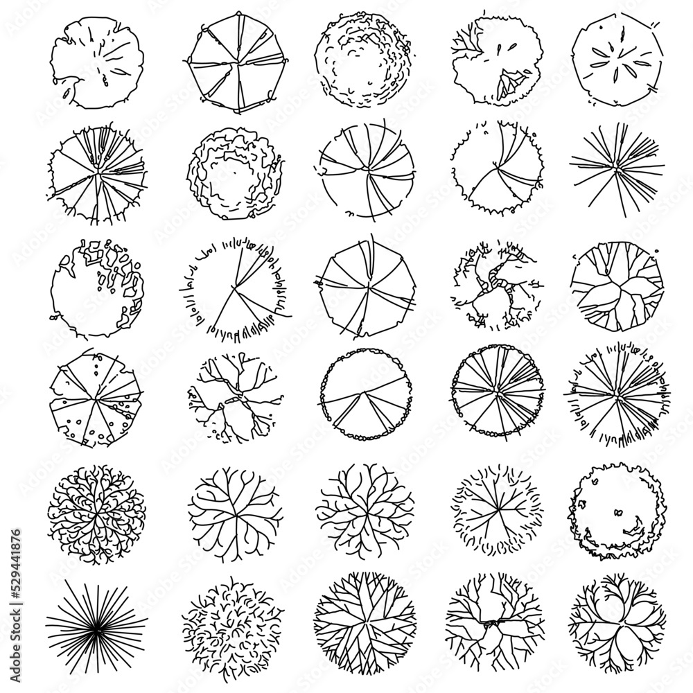 Hand-drawn planting parts perfect for architectural drawings, sections ...