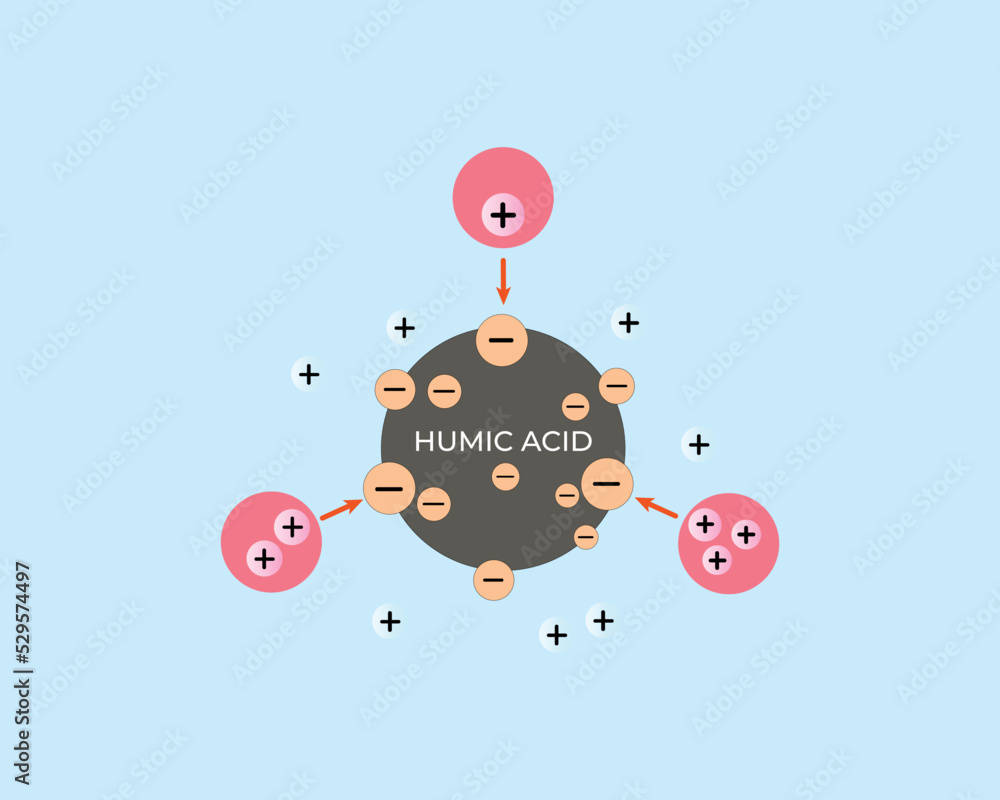 illustration of humic acid absorbing positive ions. Cation and anion ...