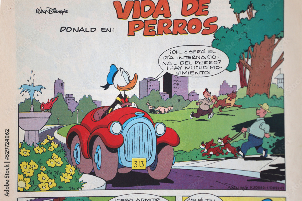 Donald Duck Comic Magazine. Donald in his red car. Magazine with ...