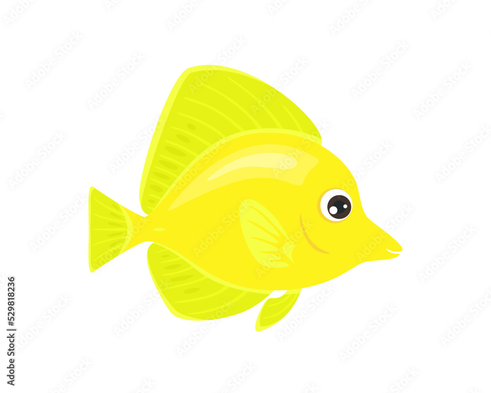 Cute aquarium fish. Zebrasoma or Yellow Tang isolated on white ...