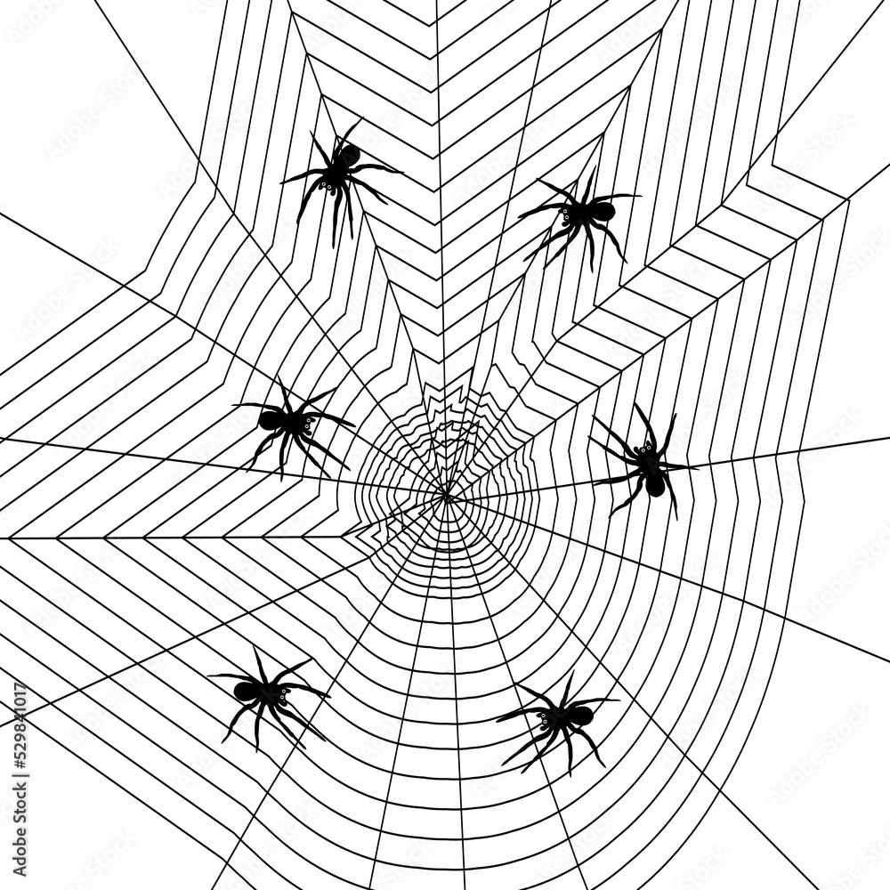 Spiderweb design, Halloween illustration. With tiny spiders crawling ...