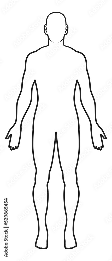 Human icon. Line body silhouette. Blank template Stock Illustration ...