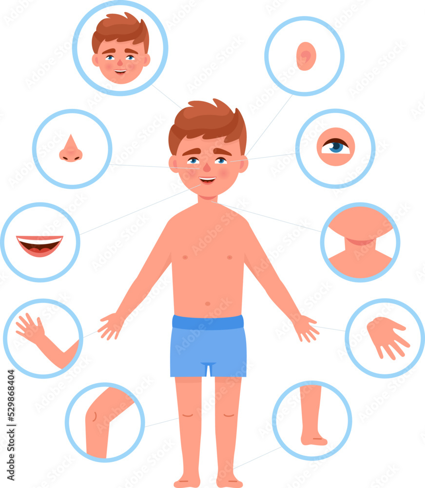 Kid body parts. Child anatomy human cutout part school boy organs ...