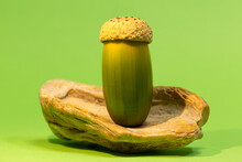 Acorns And Sycamore Seed Pods Free Stock Photo - Public Domain Pictures