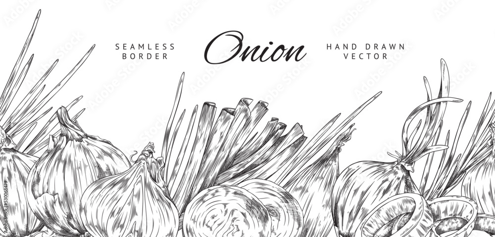 Hand drawn onion seamless border, black and white sketch vector ...