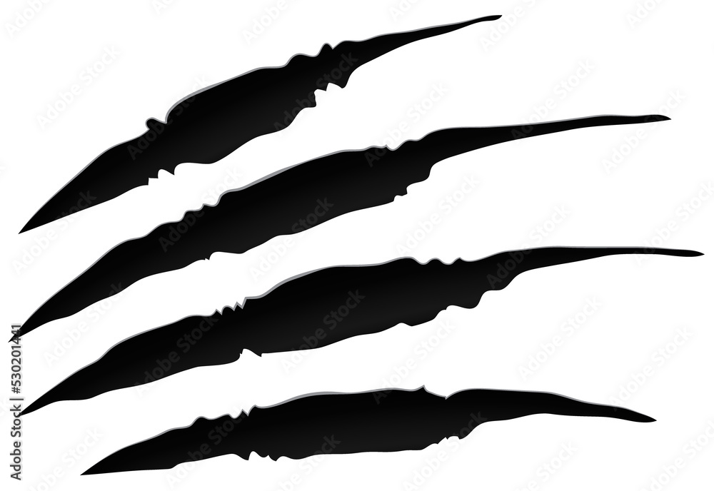 Bear claw marks, scratches, wild animal talon rips Stock Illustration ...