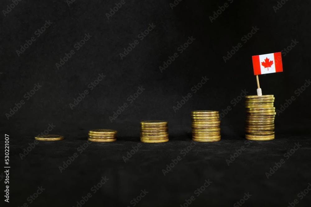 Canada economic growth, recovery after financial crisis and currency ...