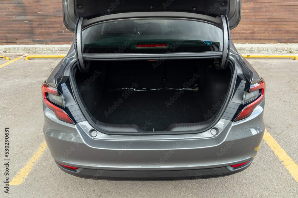 Fiat Tipo Hybrid is a sedan car. It is also known as the Fiat Egea in ...