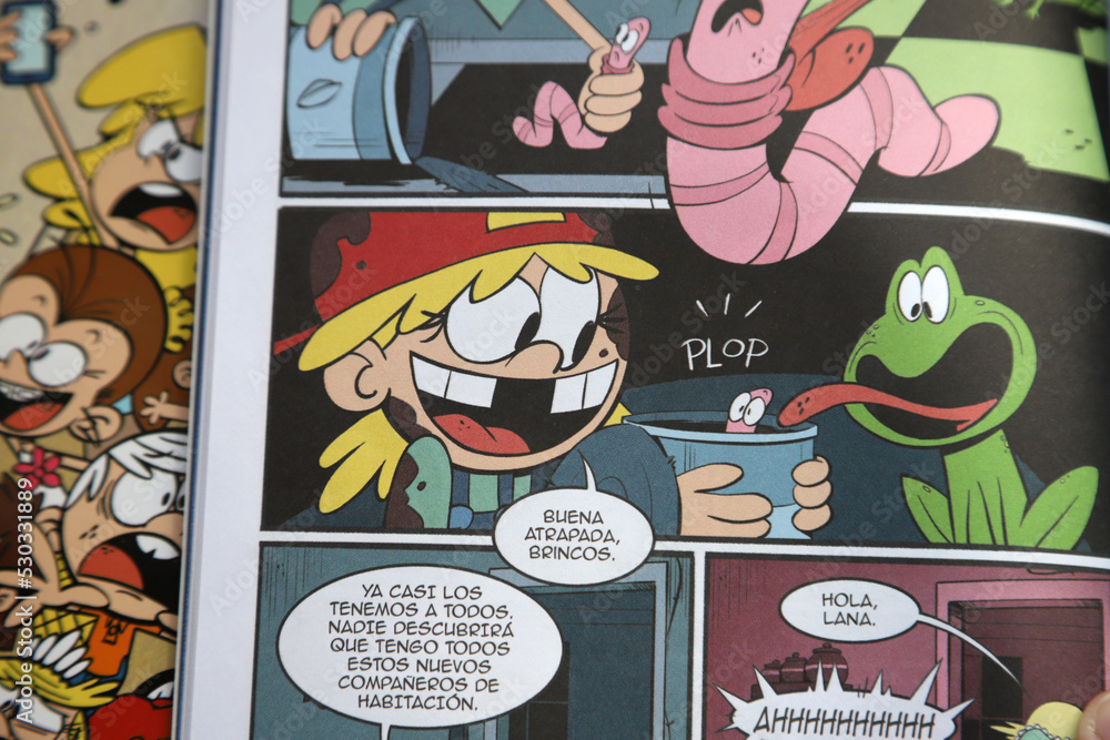 Comic book from the television series The Loud House. Lincoln and his ...