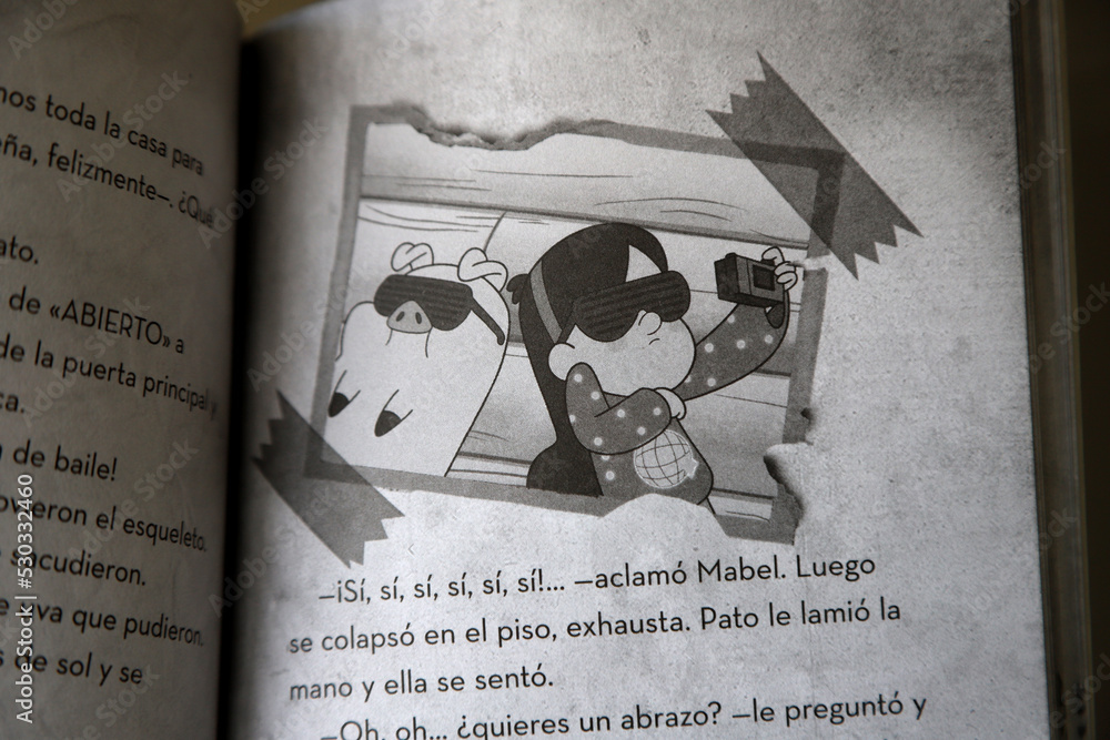 Stock-Foto „Gravity Falls Picture Book: A Summer of Mysteries. Twin ...