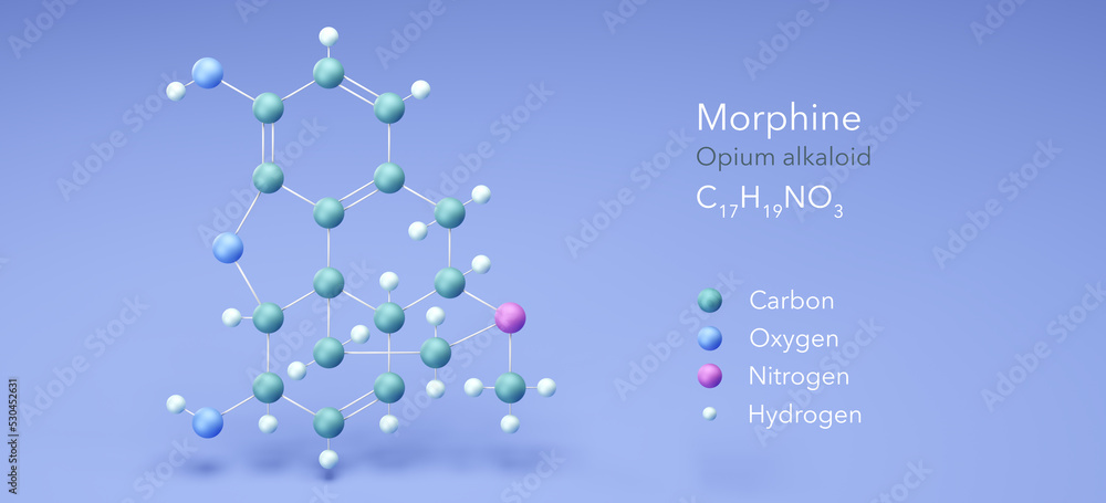 morphine, molecular structures, opium alkaloid, 3d model, Structural ...